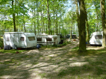Campingplatz Schwielowsee